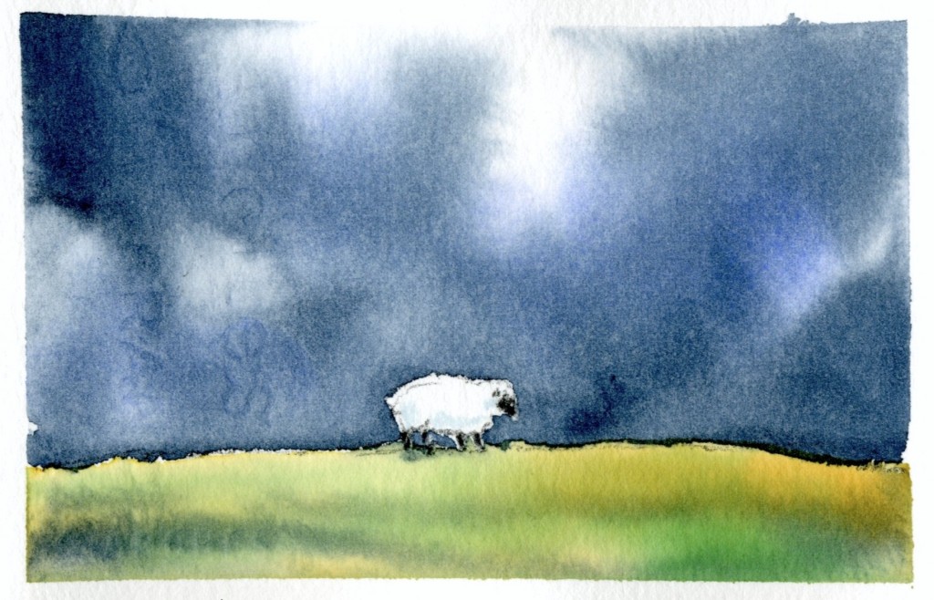 Daily Devotion Guide: Like Sheep Without a Shepherd