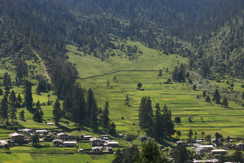 EL ÚLTIMO CONDILL. : 1982- MOTUO, CONDADO DE LAS FLORES.