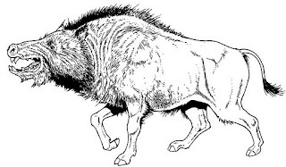 Nature: Observations and Meanings: ANDREWSARCHUS: Enter the Void