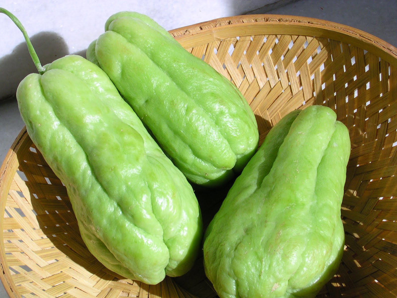 Cultivando En Casa: Cómo cultivar chayote, cidra o guatila en casa