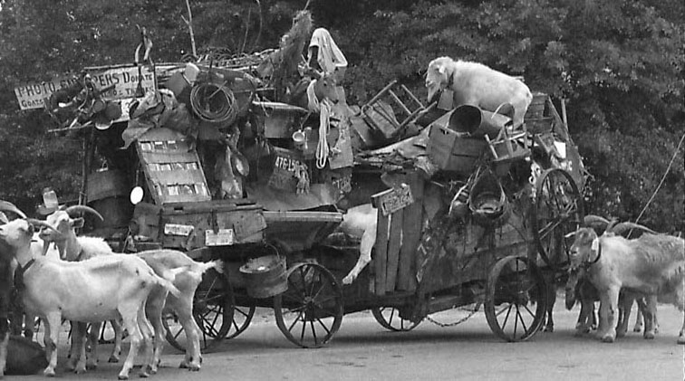 IMAGES OF OUR PAST - CHESS McCARTNEY - THE GOATMAN - BELLEVUE AVE ...