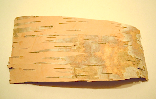 An Elephant a Day: Elephant No. 177: Birchbark Biting