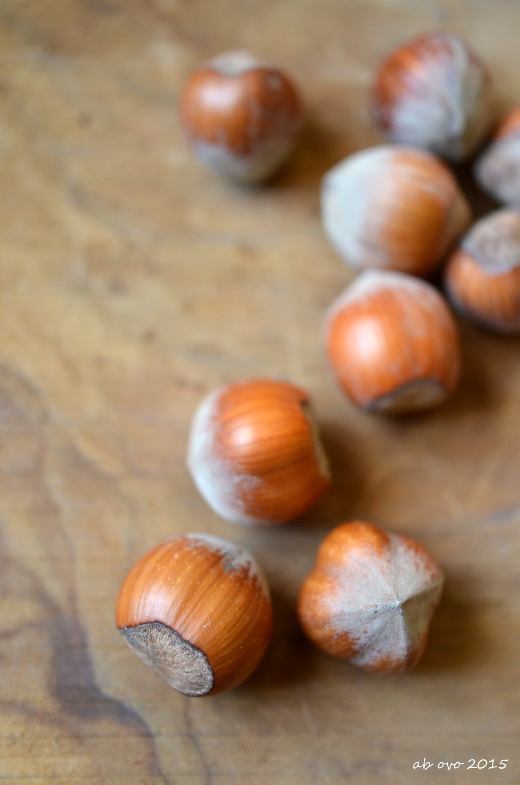 Ab oVo. Blog di ricette: Dukkha