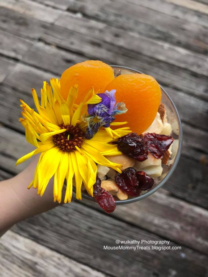 How To Make An Irresistible (Edible!) Terrarium At Home? - Mouse Mommy ...