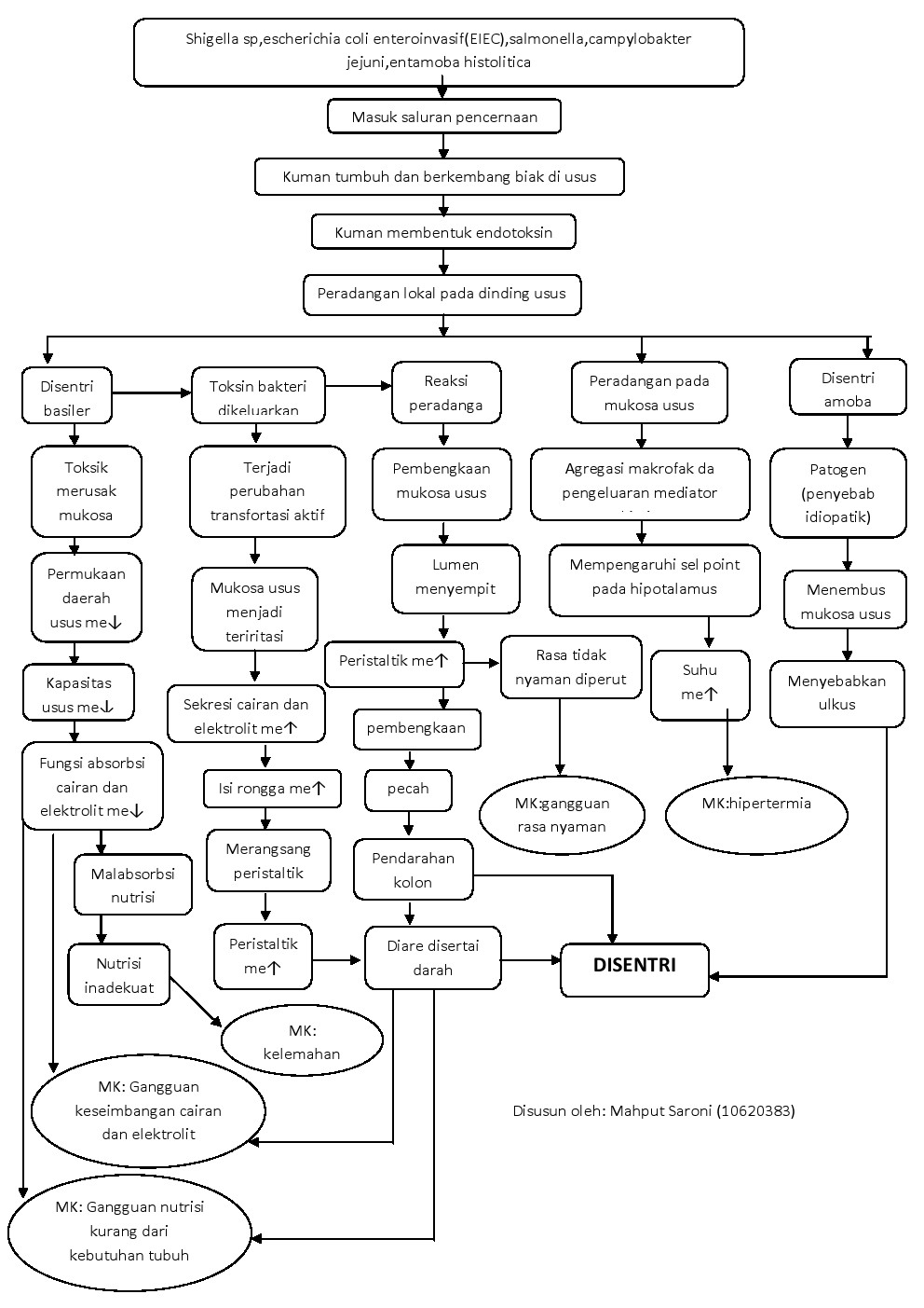 Pathway Disentri - UNIK KESEHATAN