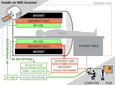 Characteristic of Magnetic Resonance Imaging - Non-Ionizing Radiation ...