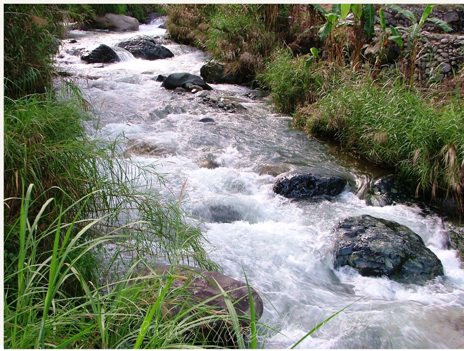 Water abundantly flowing