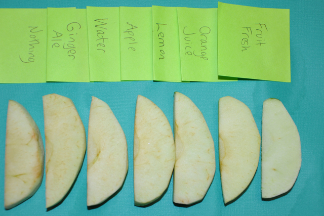 The Great Apple Browning Experiment | BentOnBetterLunches