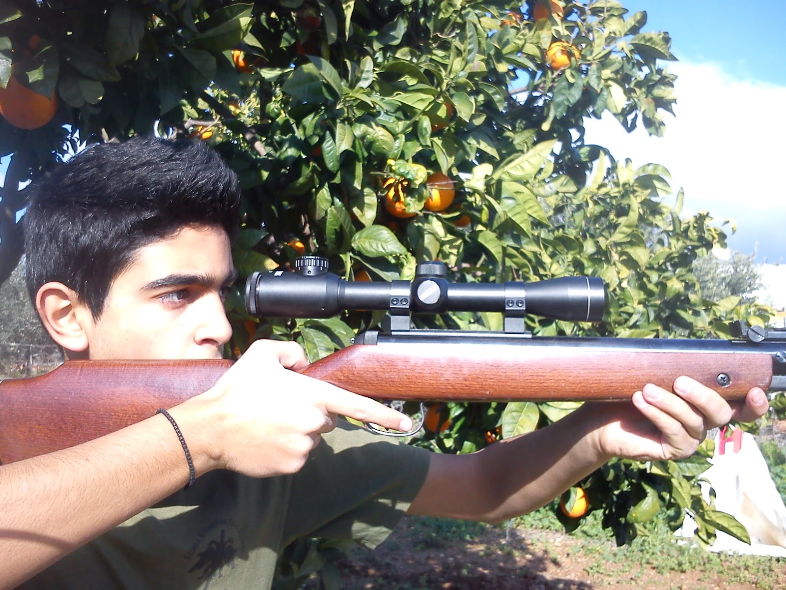 AirGuns: Diana Model 28