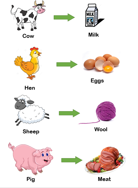 English Class: octubre 2015