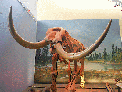 Hyde Park Mastodon (in Ithaca) ~ Hudson Valley Geologist