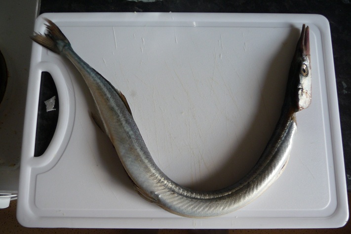 Matt's Food: Garfish