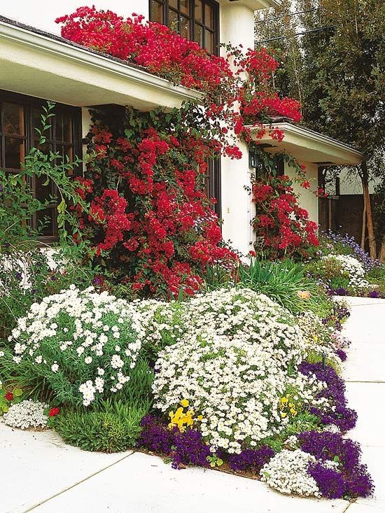 Queen's Garden: Add curb appeal, brighten your entryway, and make your ...