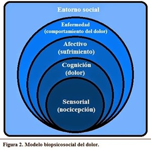 -FisioINSIDE-: EL DOLOR PSICOGENO Y LA SALUD