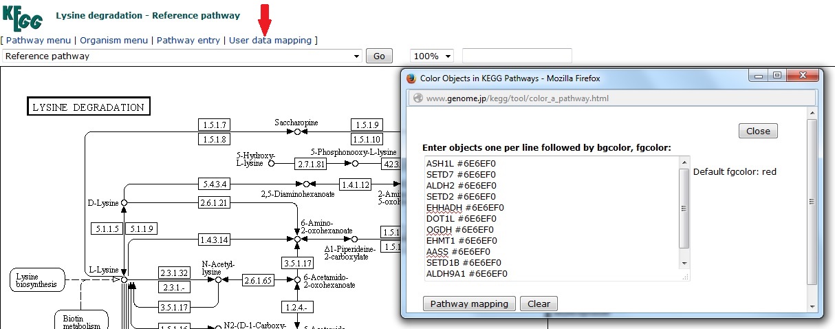 Nina Riddell: Mapping a gene list onto KEGG pathways
