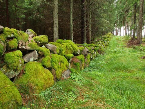 A Beautiful Mess: Ancient Stone Wall, Sweden