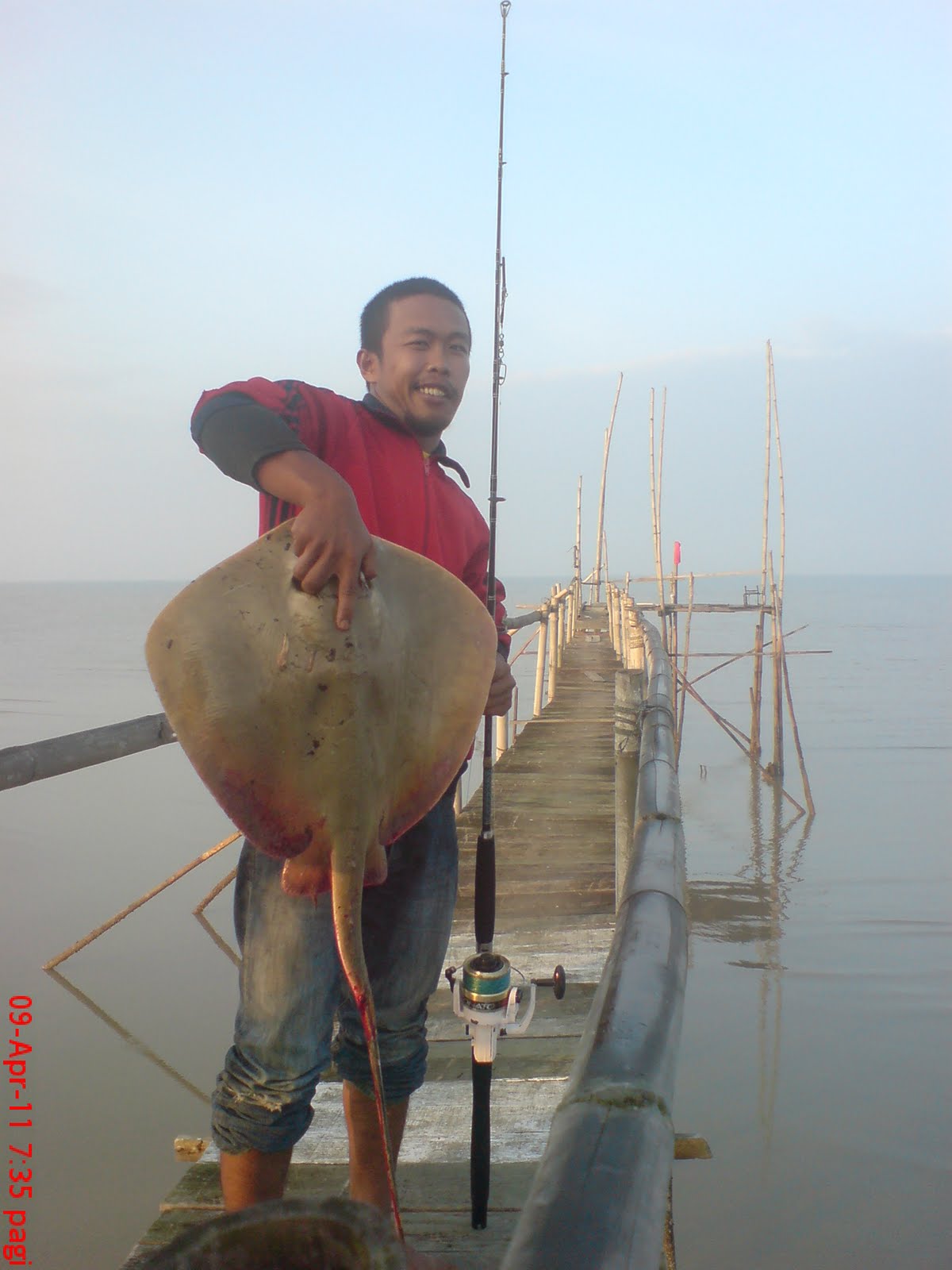 Teknik memancing ikan pari di jeti pantai perpat 2 ~ ZON PANCING