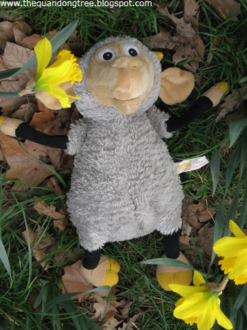 The Quandong Tree: Wiley!