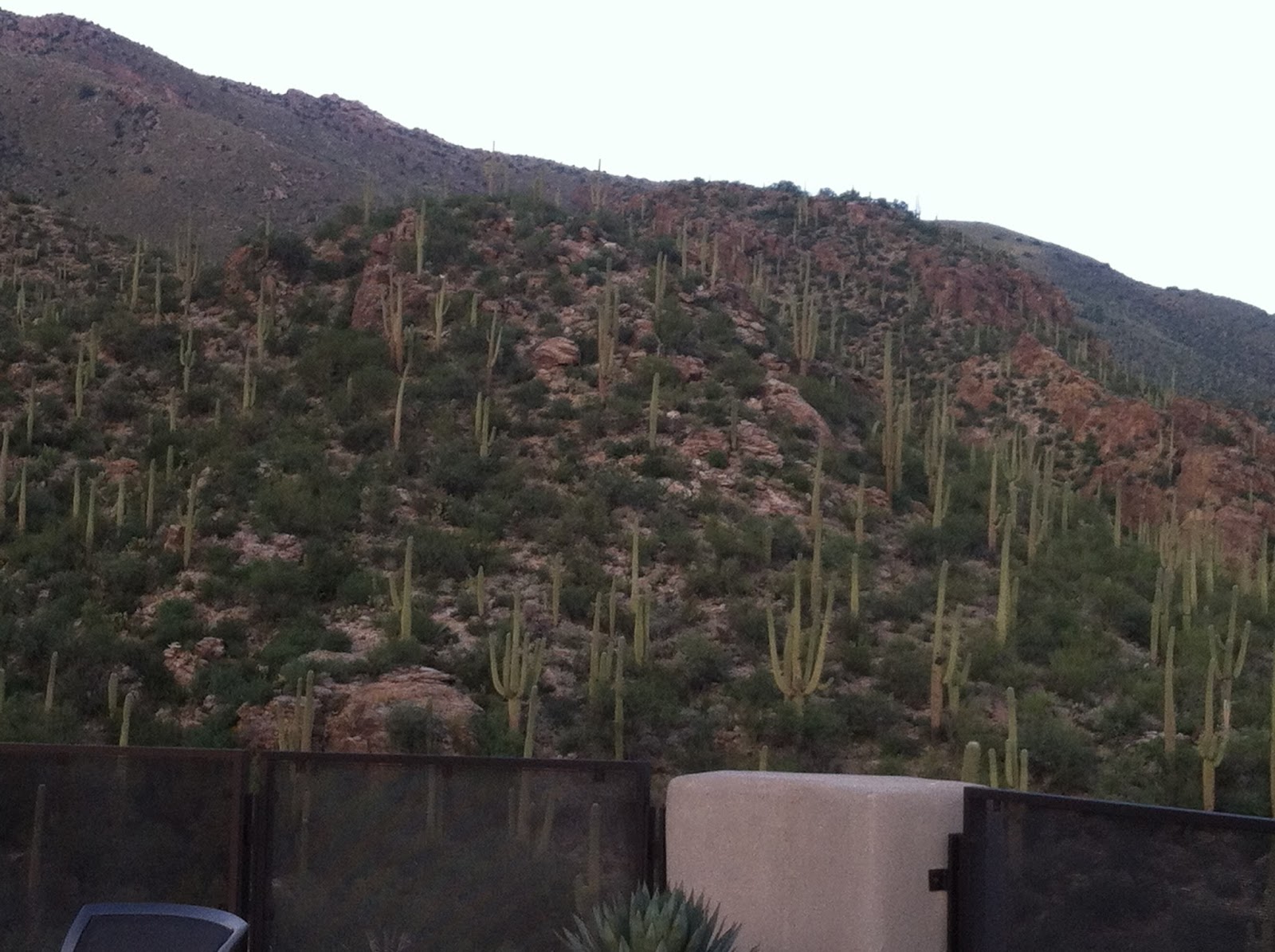 Tucson Daily Photo ~: View from the Top of Tucson
