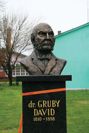 Un dermatólogo en el museo : David Gruby (I): De Budapest a París