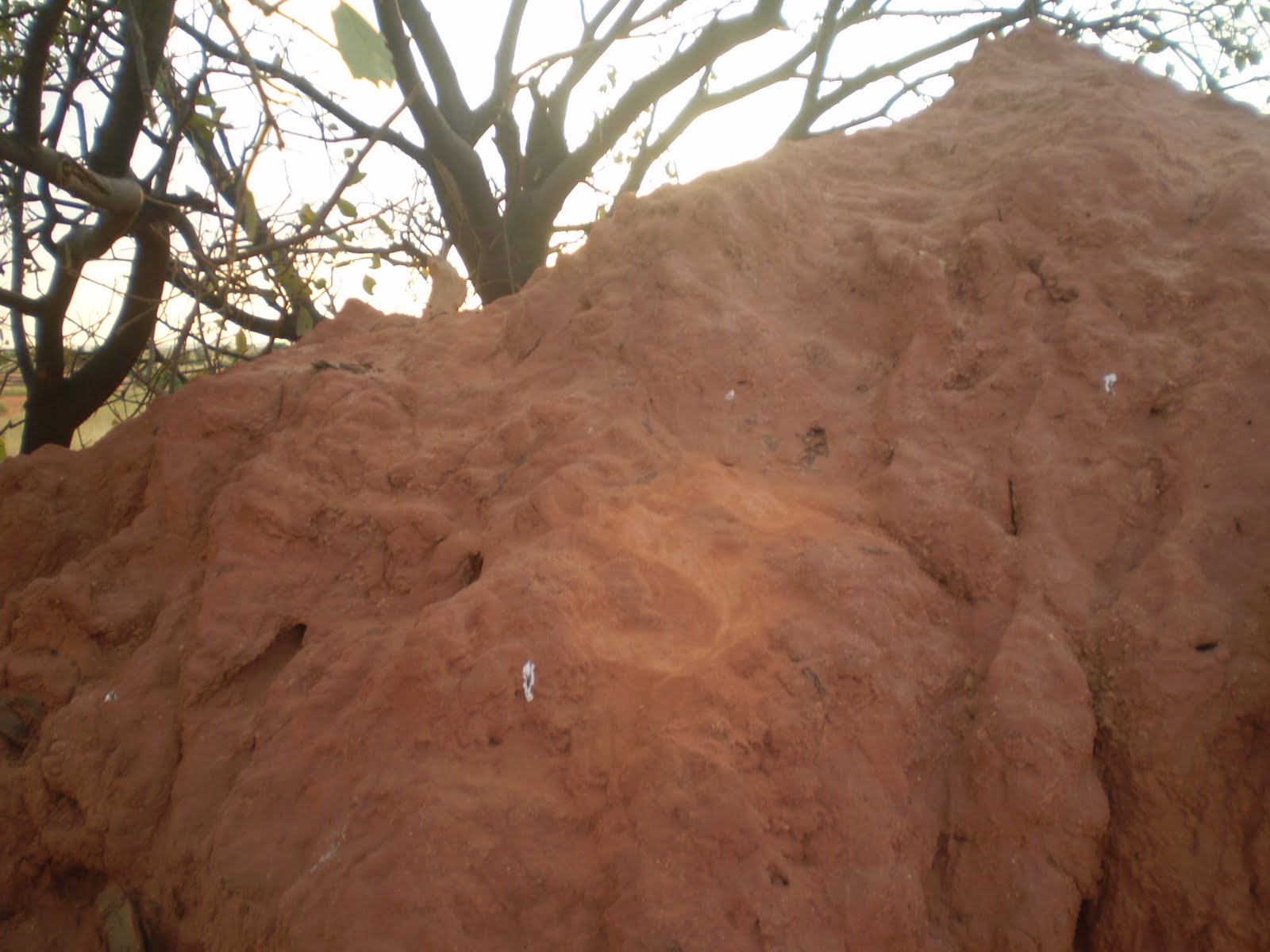 Monguel مونكل: مناظر طبيعية من مقاطعة مونكل