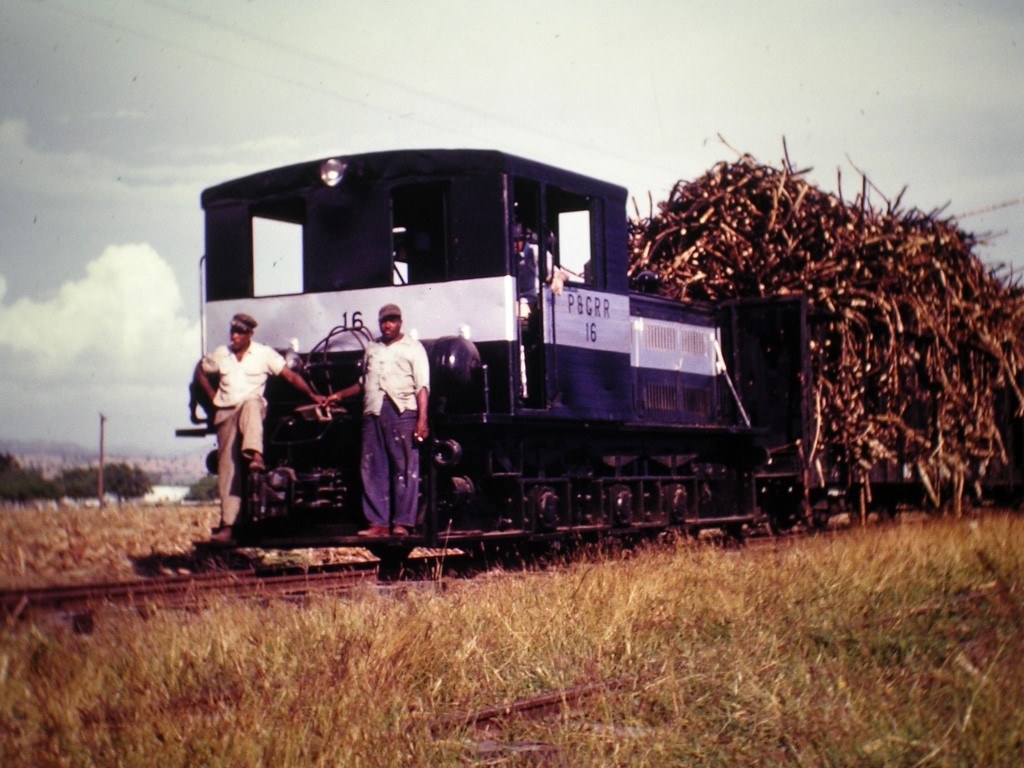 Puerto Rico's Sugar Cane History... - HAERR TRIPPIN'
