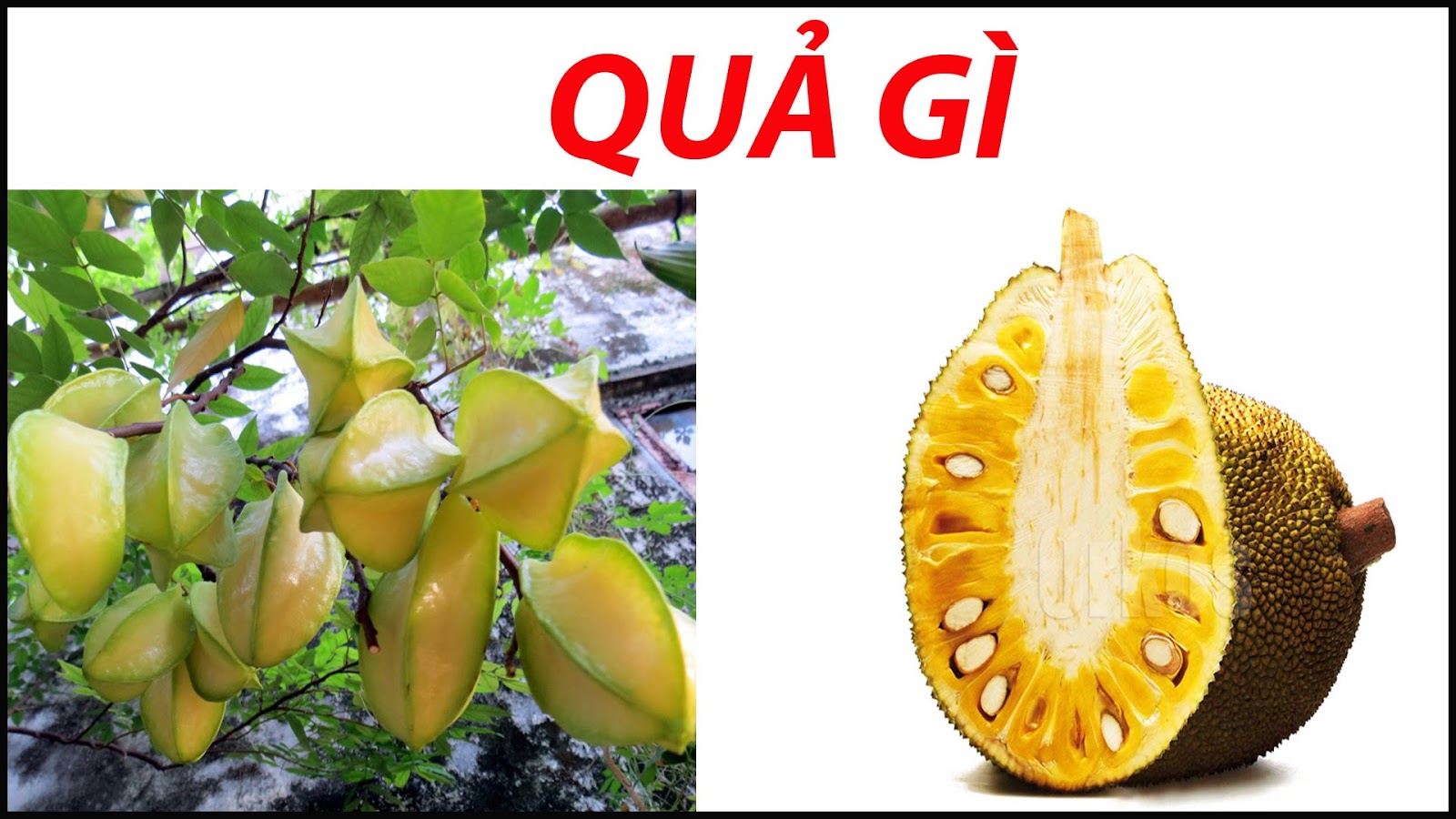 vietsinhvienit: bài hát quả gì