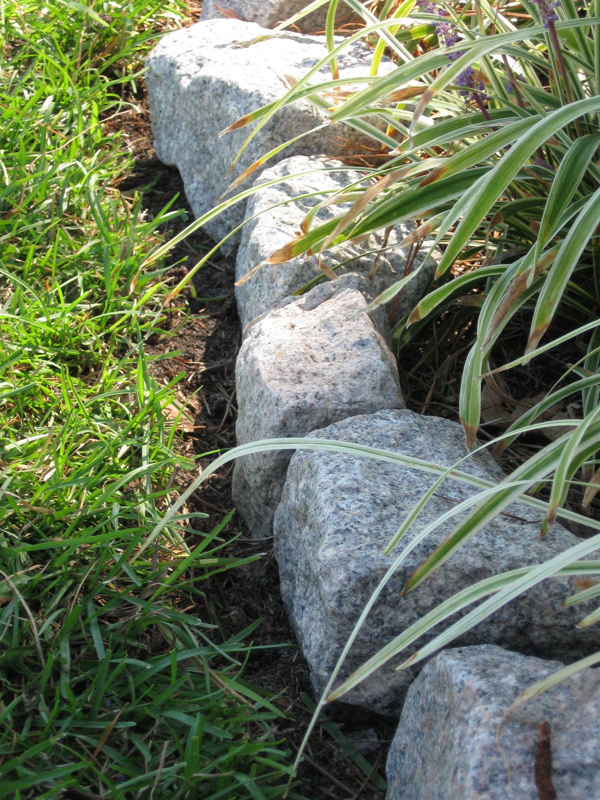 Gardening From the Ground Up: GETTING EDGY