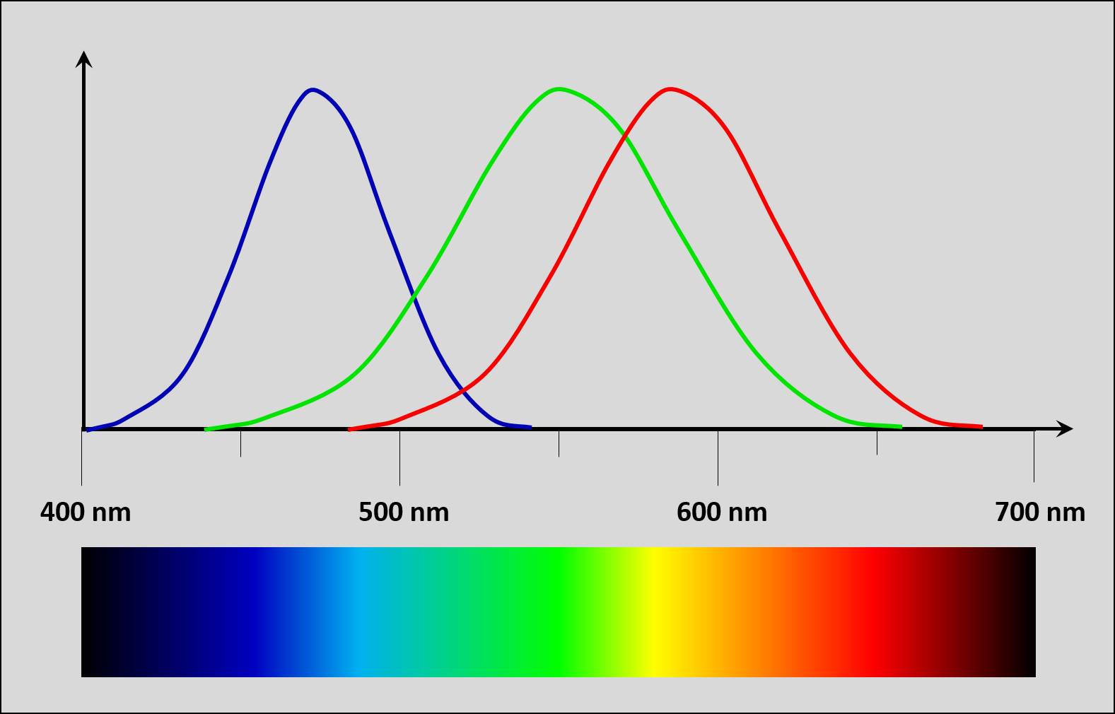 John the Math Guy: The long, medium, and short of the cones