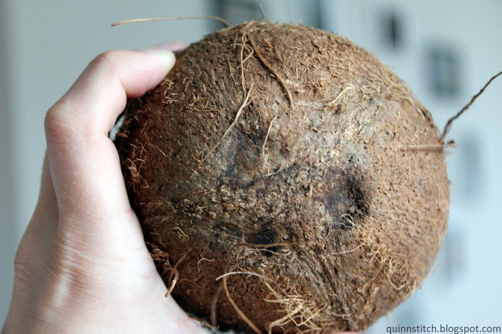 Quinn Stitch: How to Make Coconut Milk (and How to Open a Coconut)
