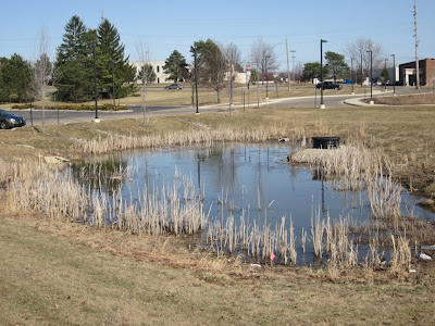Civil Engineering Photos: #66 Detention Pond
