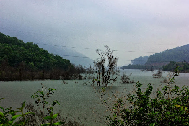 Maredumilli Forest - See what I see everyday!!!