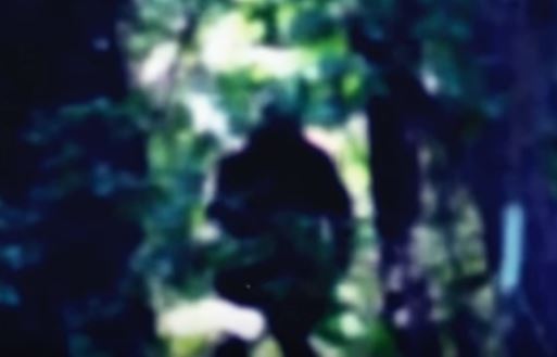 Skinwalker Ranch - The Most Terrifying Place on the Planet