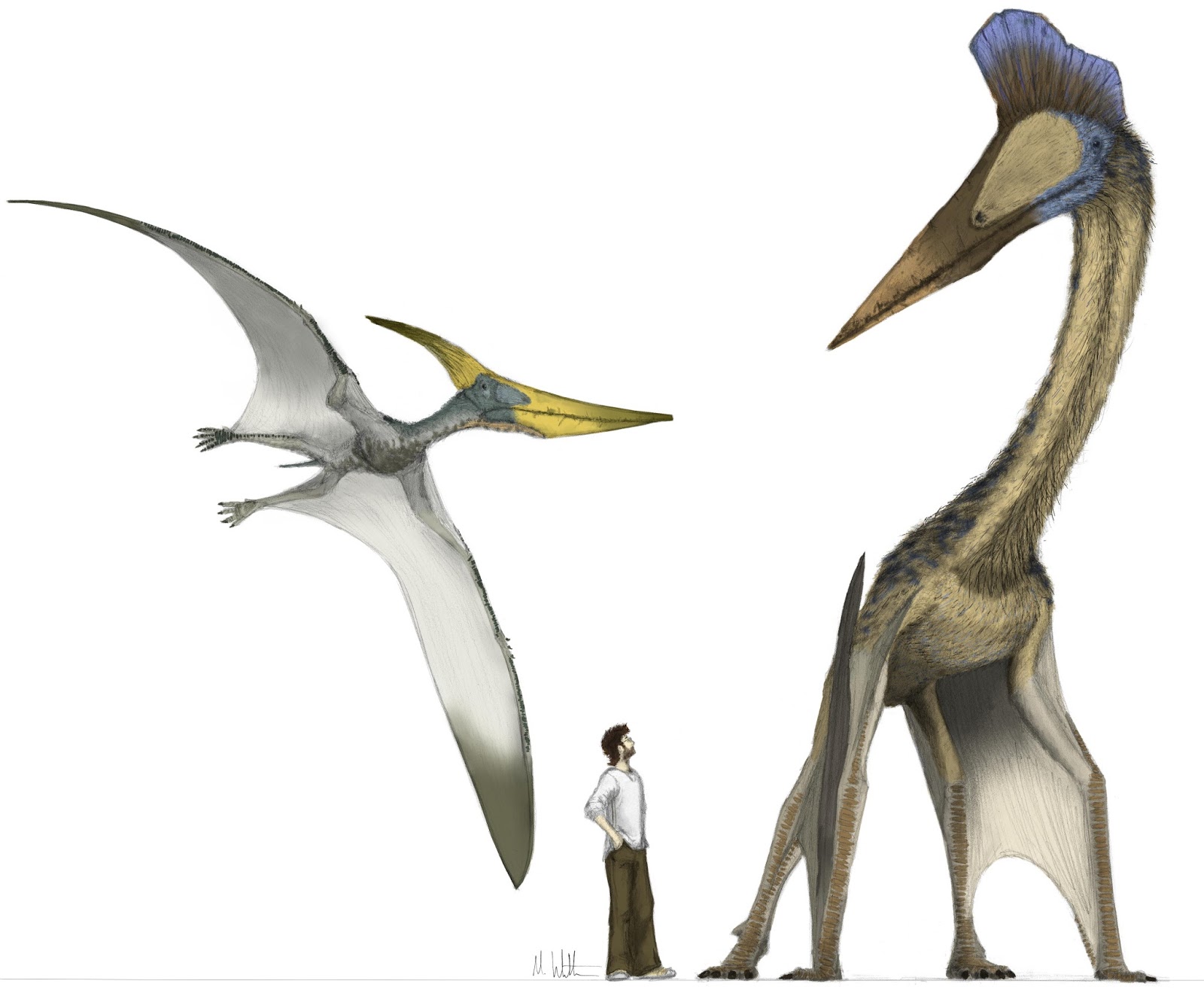 Terra dos Dinossauros: Pteranodonte