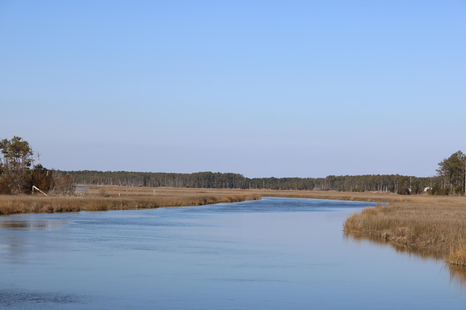 Life in Mathews: Bethel Beach