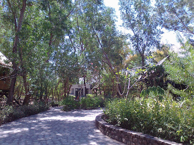 Komunitas ATLAS: PPLH Puntondo