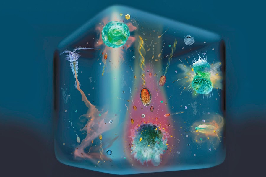 Life in a drop of Water | Archzaki.Net