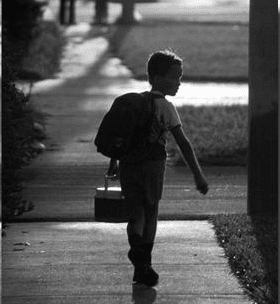 Laika's Dreams: On Turning Ten by Billy Collins