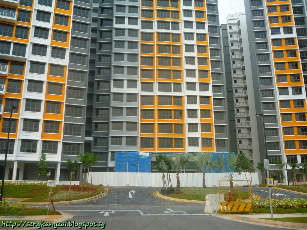 Zai@Sengkang: Anchorvale Cove (Year 2014 Week 25)
