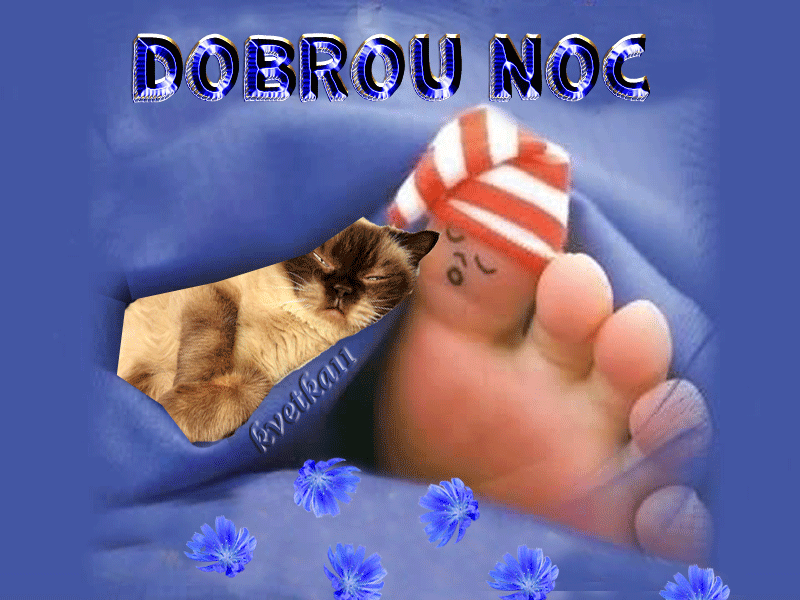 kvetka11: Dobrou noc