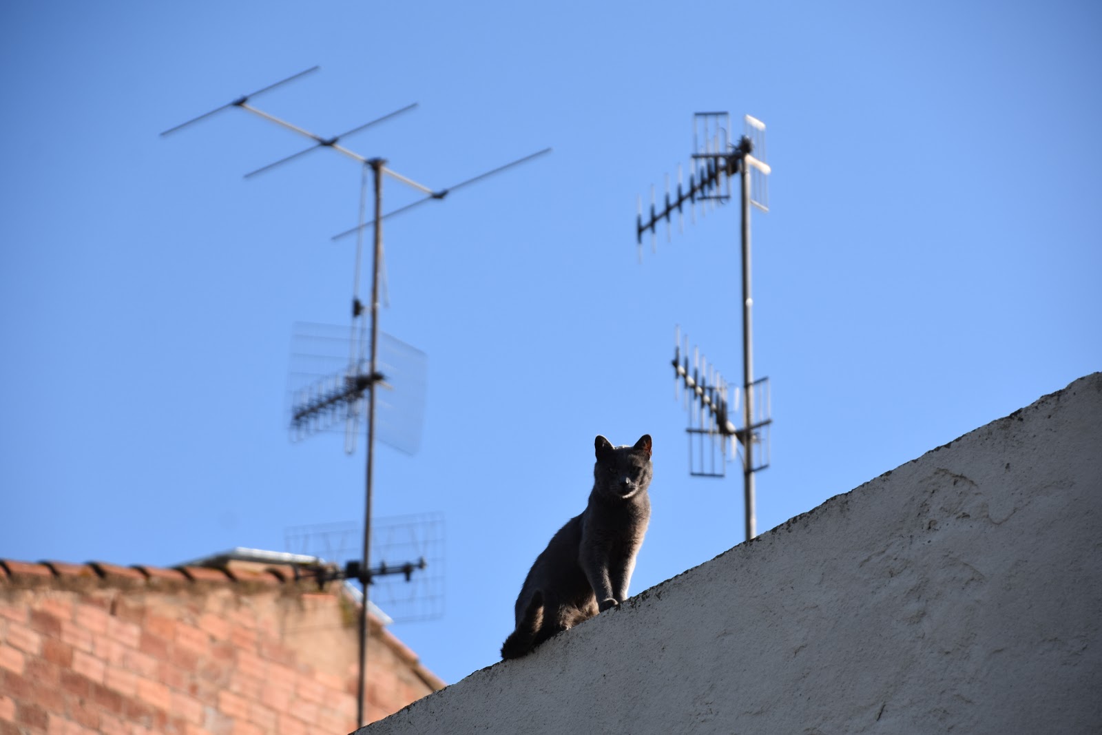 Trains and other things: Catalonia