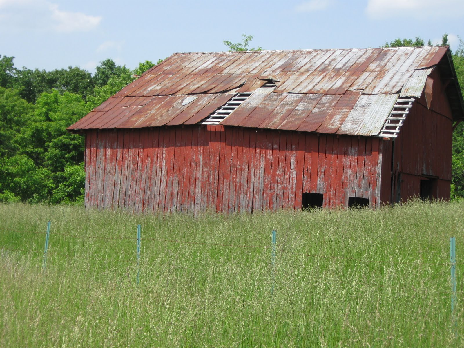 FOLKWAYS NOTEBOOK: ORGANICALLY GROWN -- RED KENTUCKY BARN