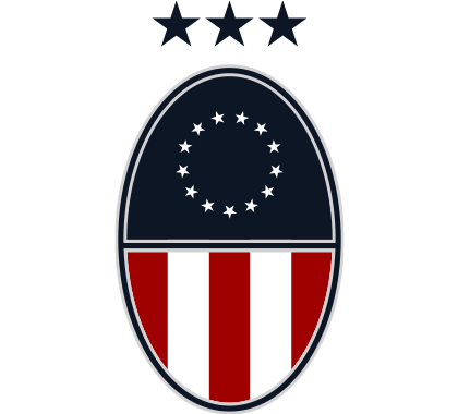 Alternate NFL Logos: New England Patriots