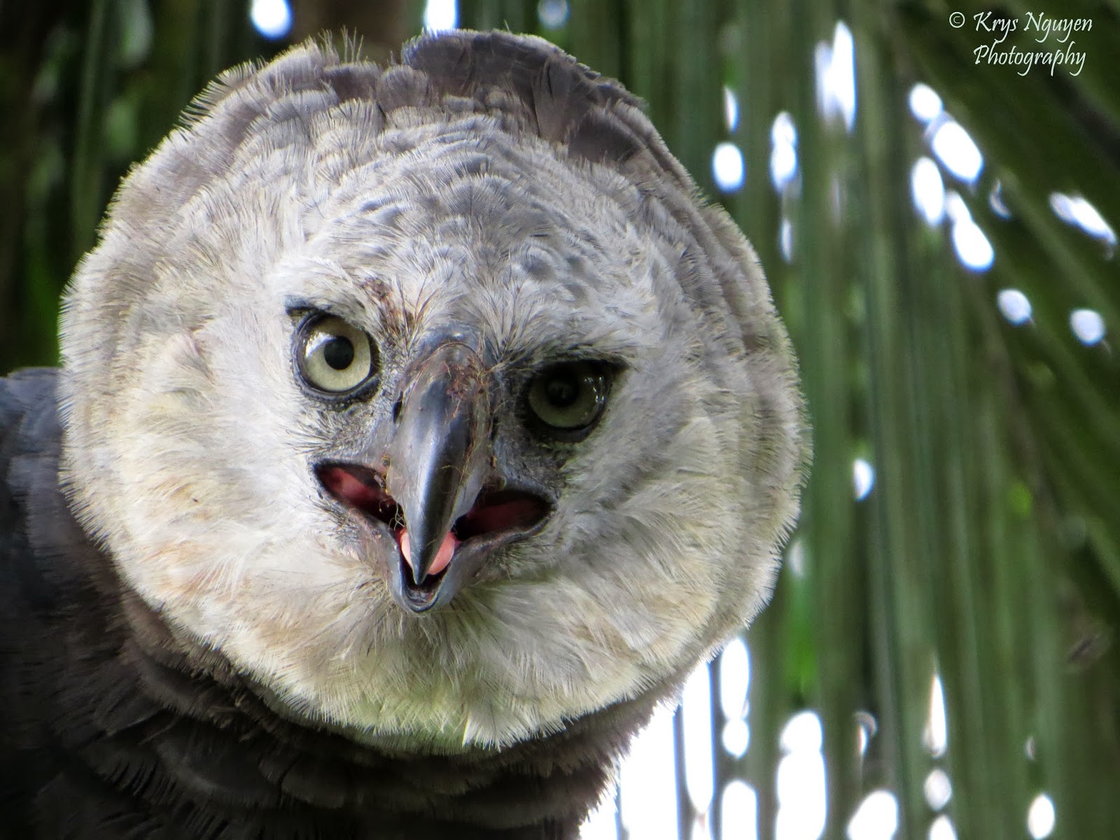 C'est La Vie Travel & Photography: Ecuador