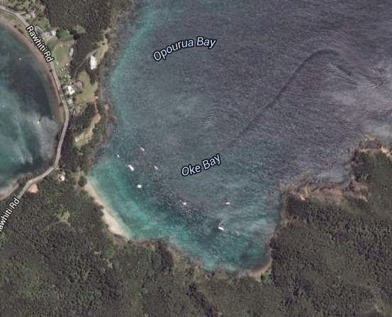 New Zealand's Sea Monster Spotted on Google Earth