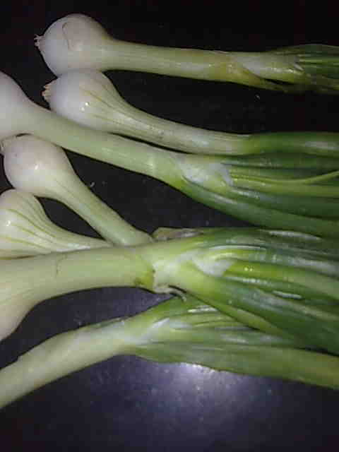 Fast Indian Recipes: Aloo Hara Pyaz (Potato and Spring Onion)