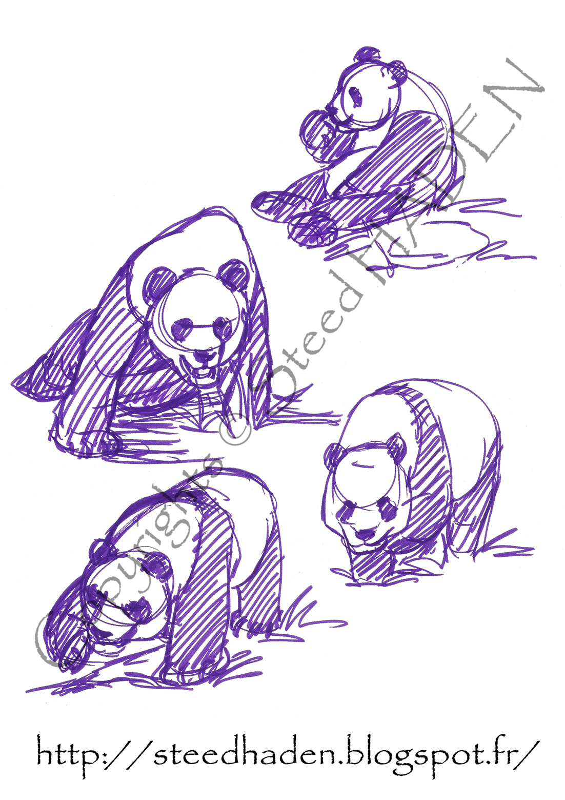 Contes et Légendes Animés...: Pandi... Panda...