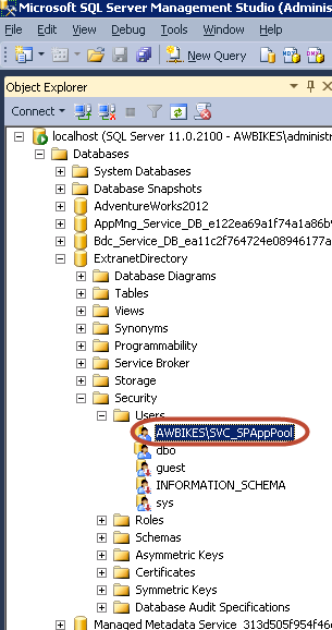 Premierpoint Solutions Team Blog Configuring Forms Based