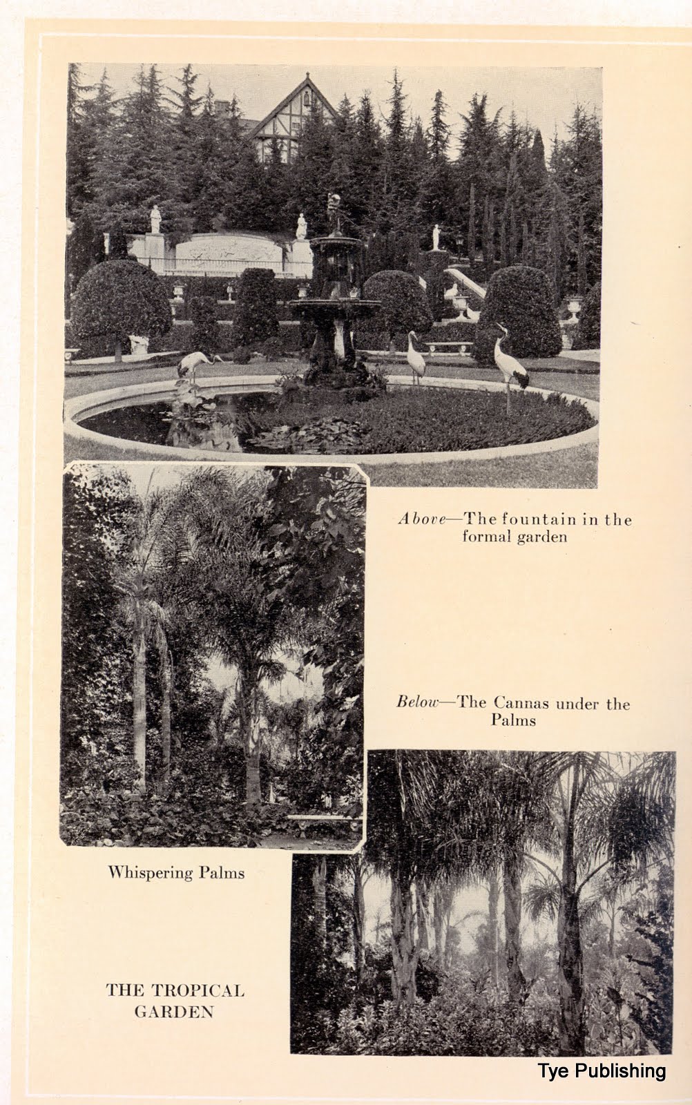 A Look Back at Vintage Los Angeles: Background for Arthur Letts