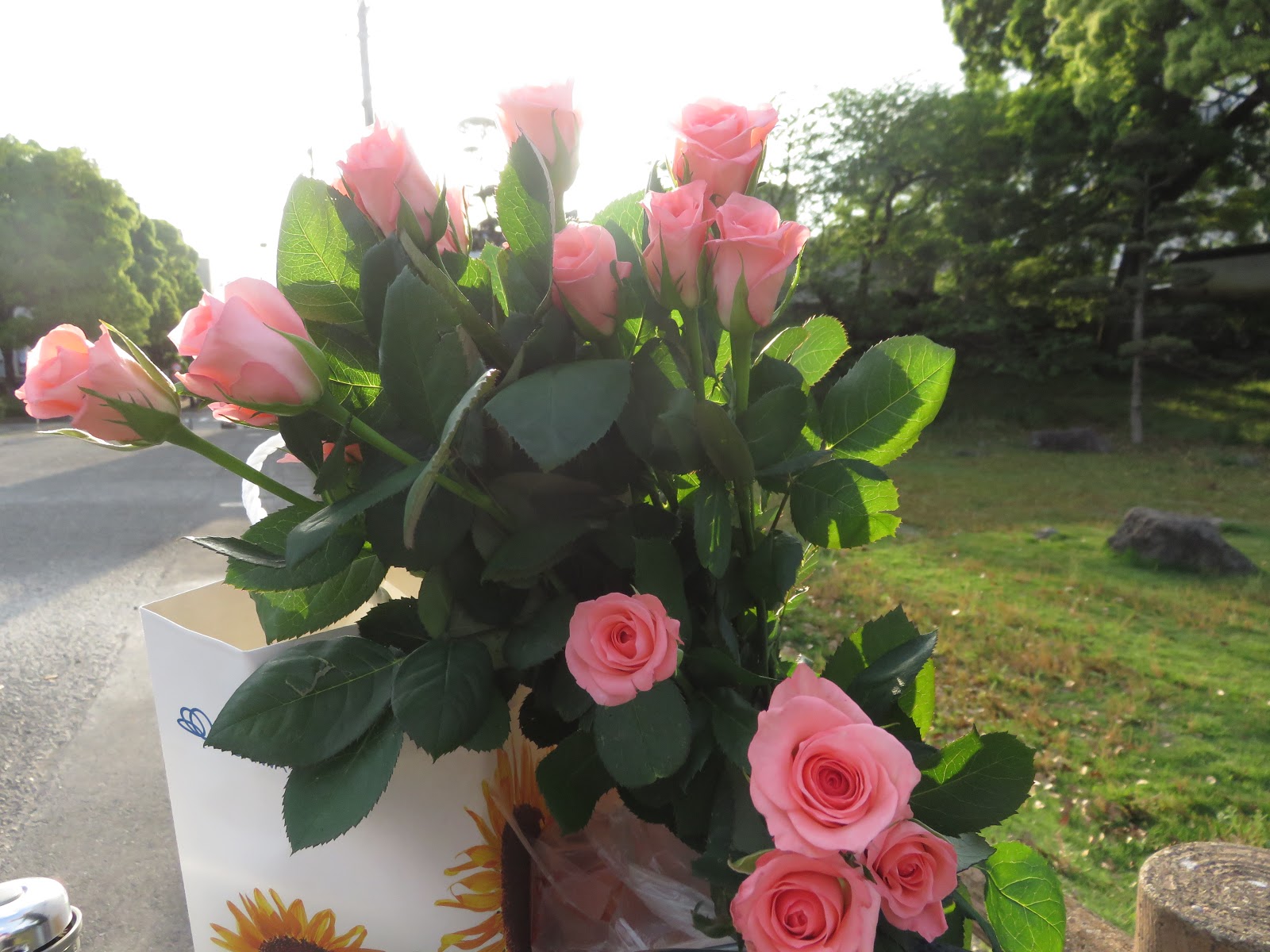 Challah and Cherry Blossoms: Shabbat flowers, Shabbat Shalom!